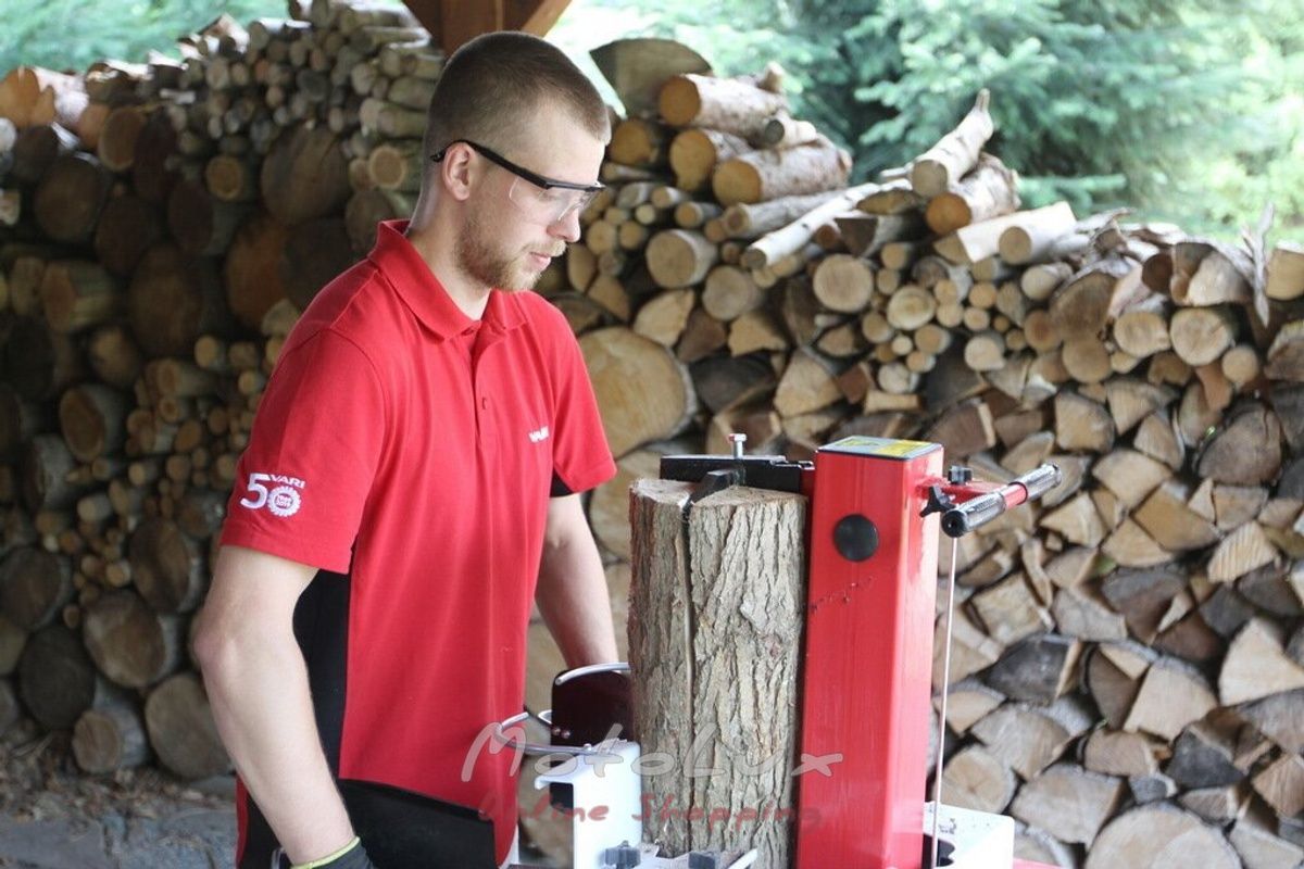 Wood splitter VARI 8 TON SUPER FORCE 230 V buy for 837€ in Ukraine ...