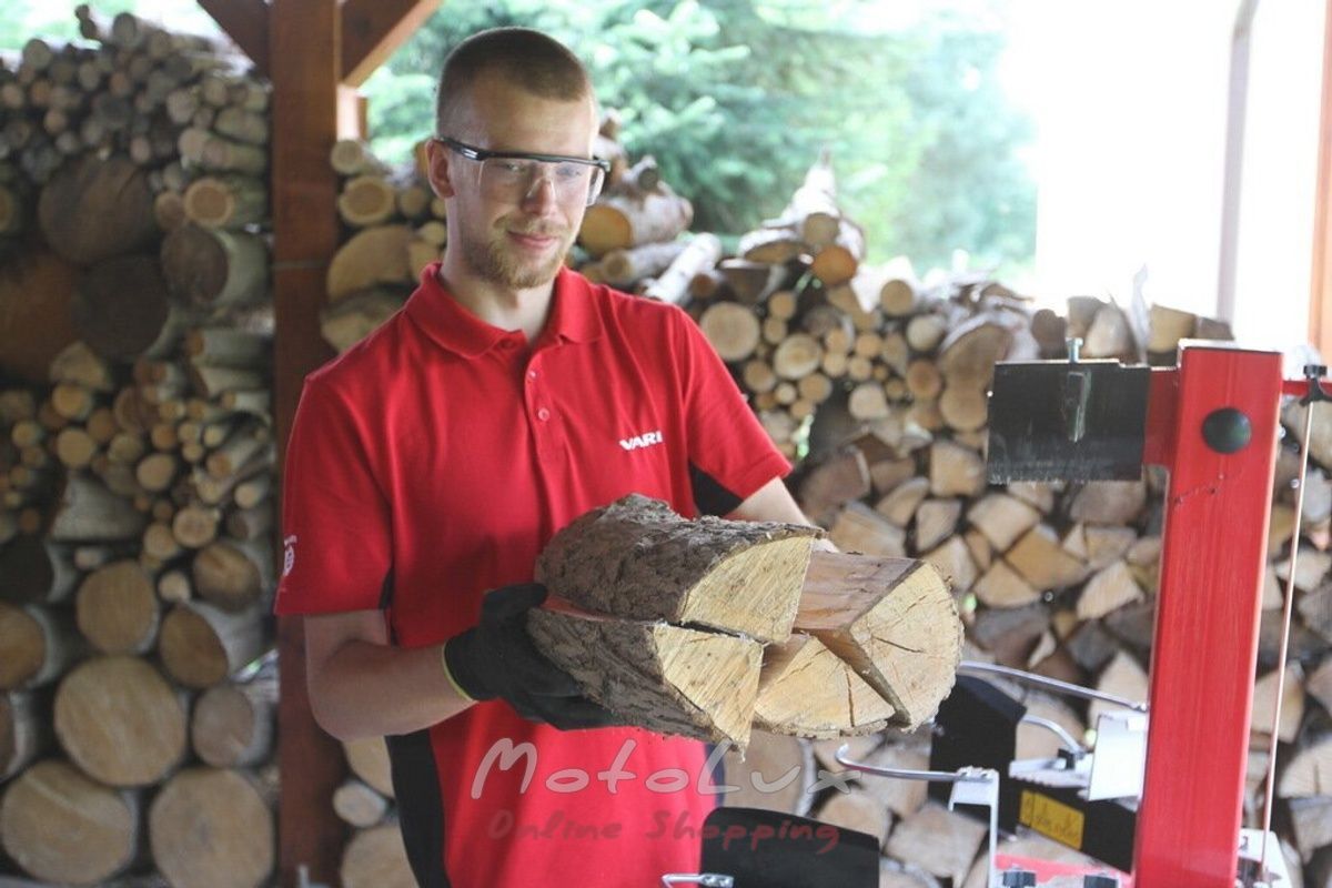 Wood splitter VARI 8 TON SUPER FORCE 230 V buy for 837€ in Ukraine ...